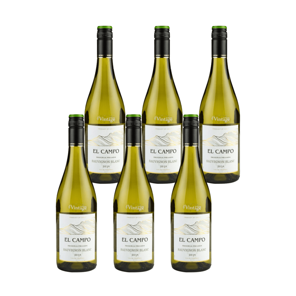 El Campo Chilean Sauvignon Blanc - Jean Juviniere